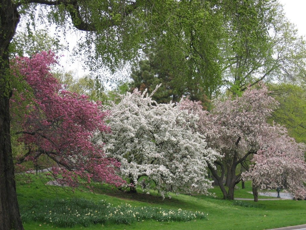 Photo entry: The Colors of Spring