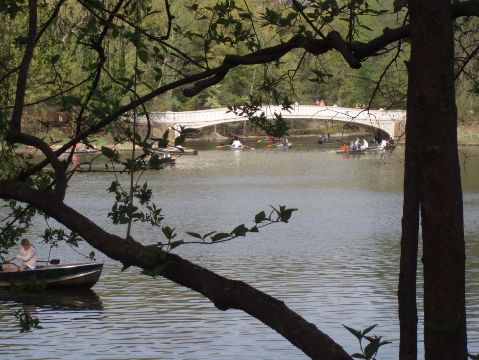 Photo entry: Bow Bridge
