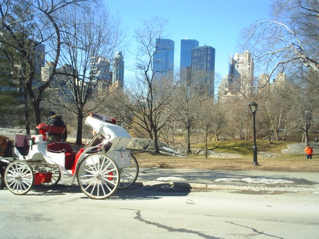 Photo entry: A sunny day on a cold winter!