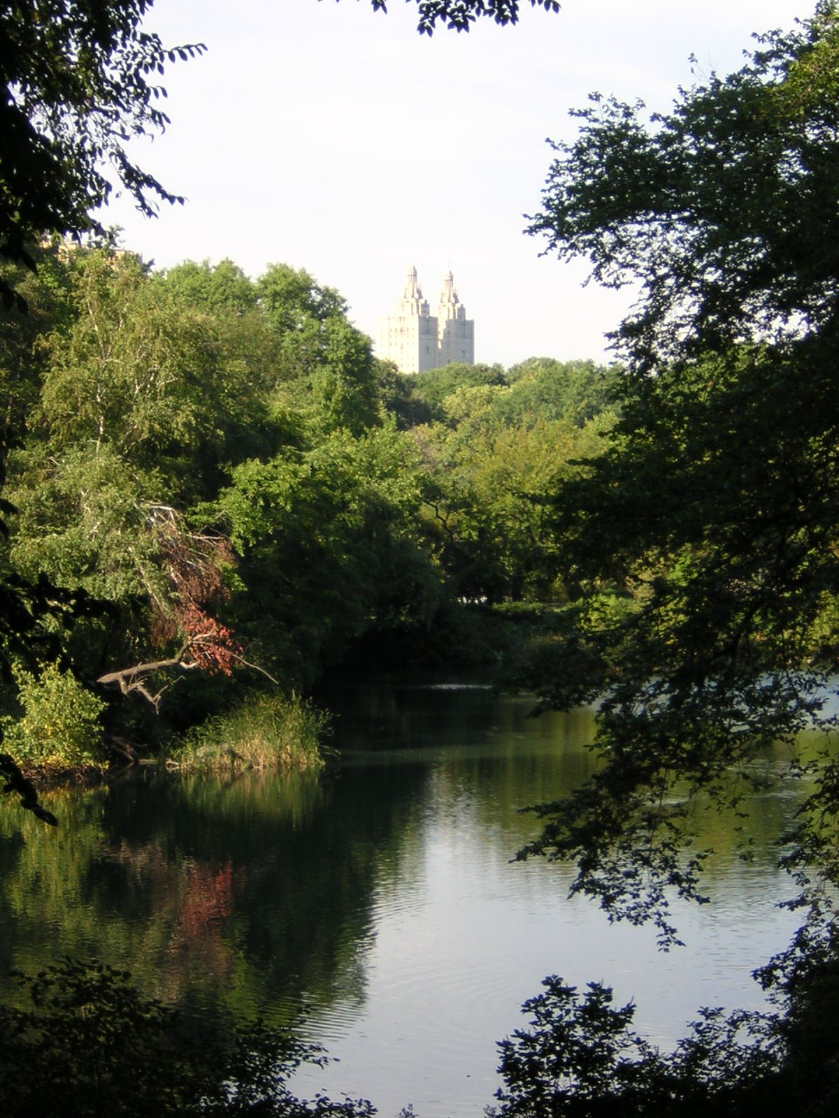 Photo entry: Lake view