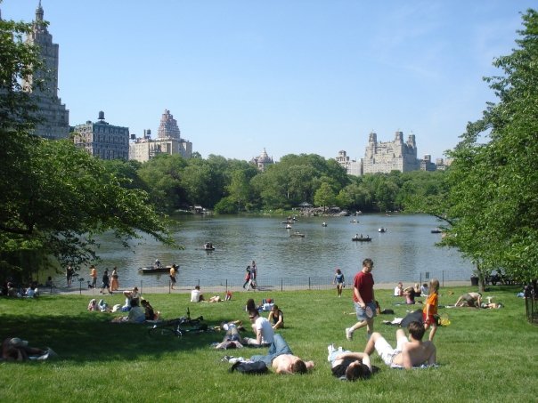 Photo entry: The Pond on a Busy Day