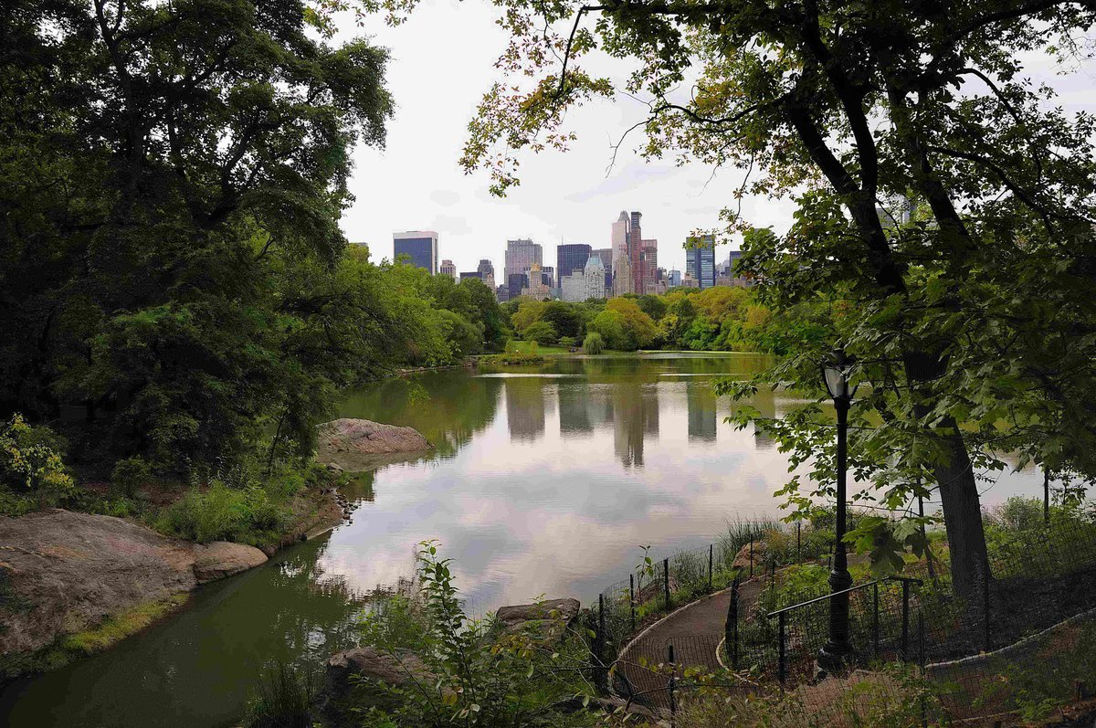Photo entry: Lake view