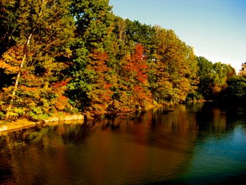 Photo entry: October Afternoon