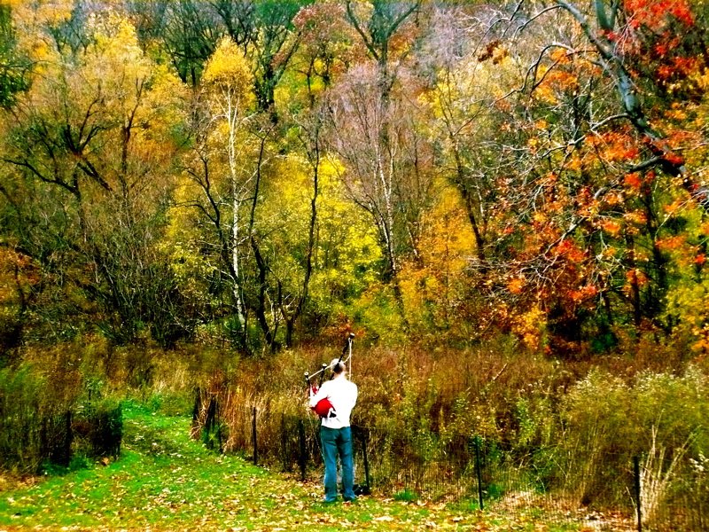 Photo entry: Amazing Grace - Farewell to Autumn