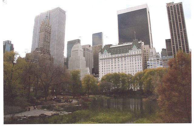 Duck Pond Skyline The Mansion At 63 Duck Pond Lane Features A