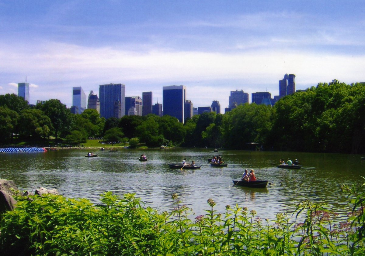 Photo entry: Pond in the Park