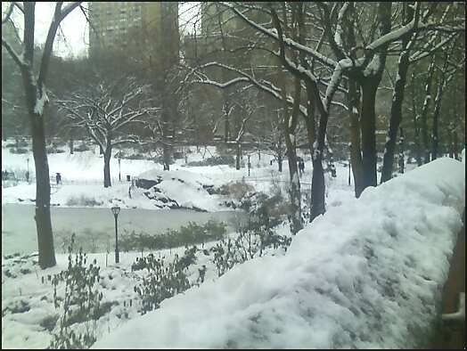 Photo entry: A Snowy Day