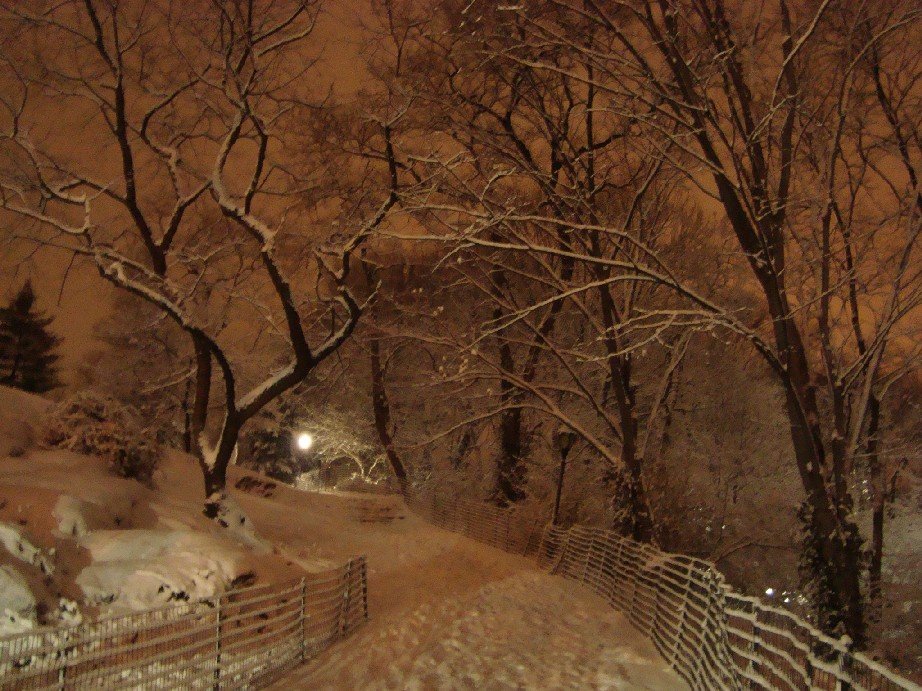 Photo entry: Snowy CPS Pathway