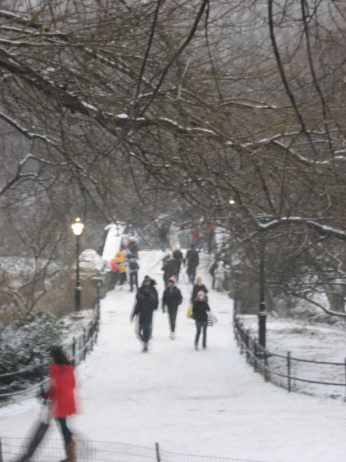 Photo entry: Strolling in the snow