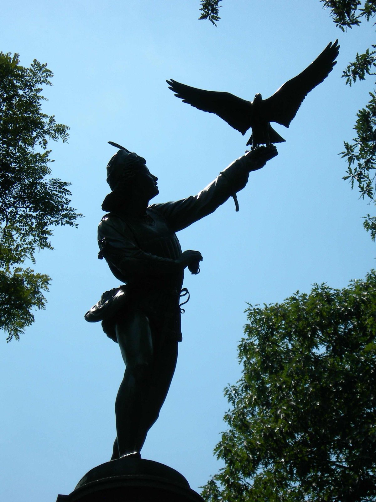 Photo entry: The Falconer