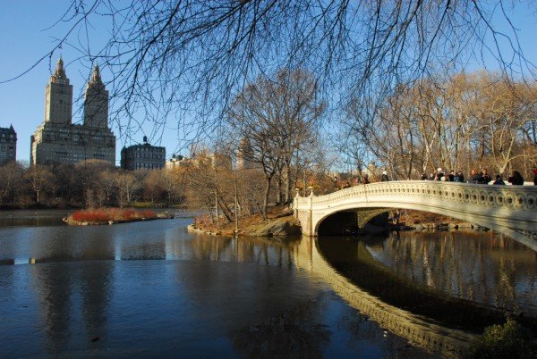 Photo entry: Bow Bridge in February