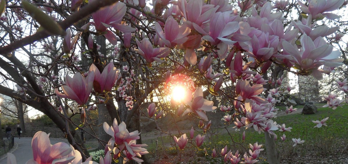 Photo entry: Welcome Sun