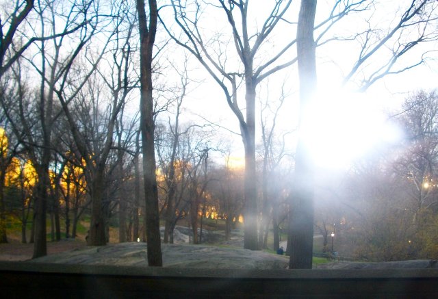 Early Spring Morning