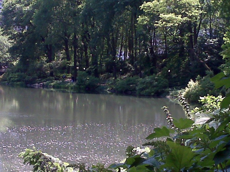 Photo entry: Lunch at the Park