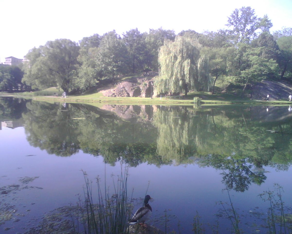 Photo entry: View of the pond