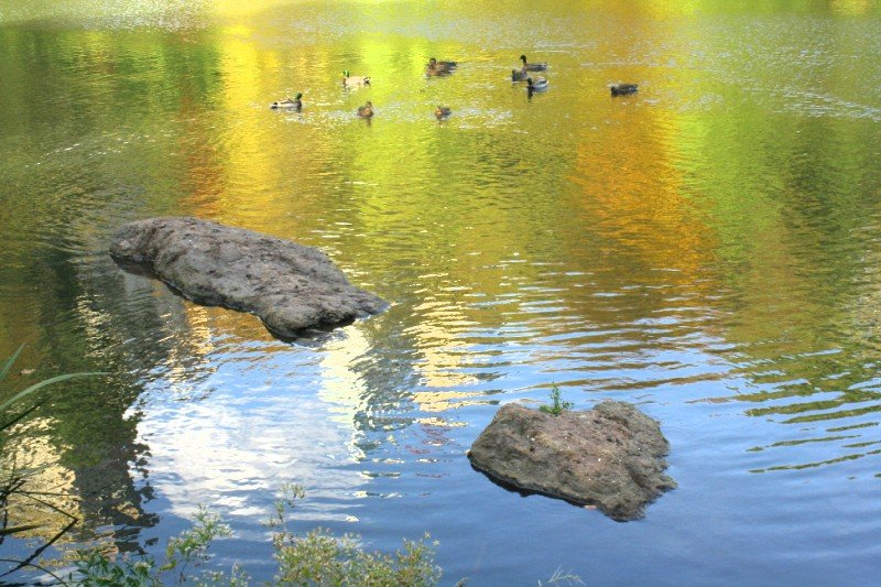 Photo entry: Colored Water