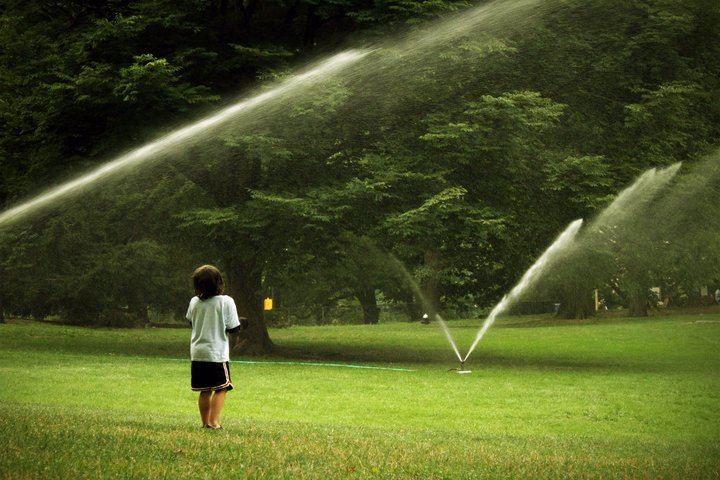 Photo entry: boy