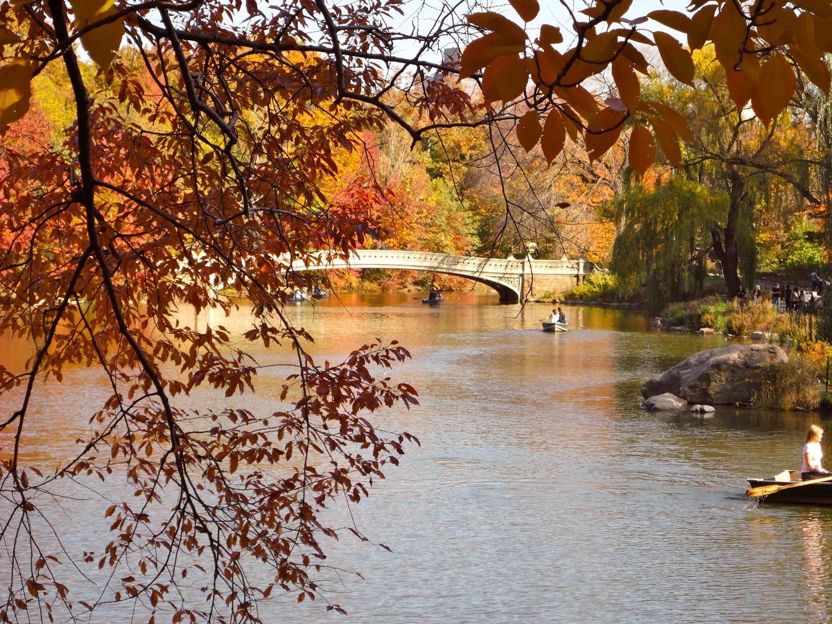 Photo entry: Bow Bridge