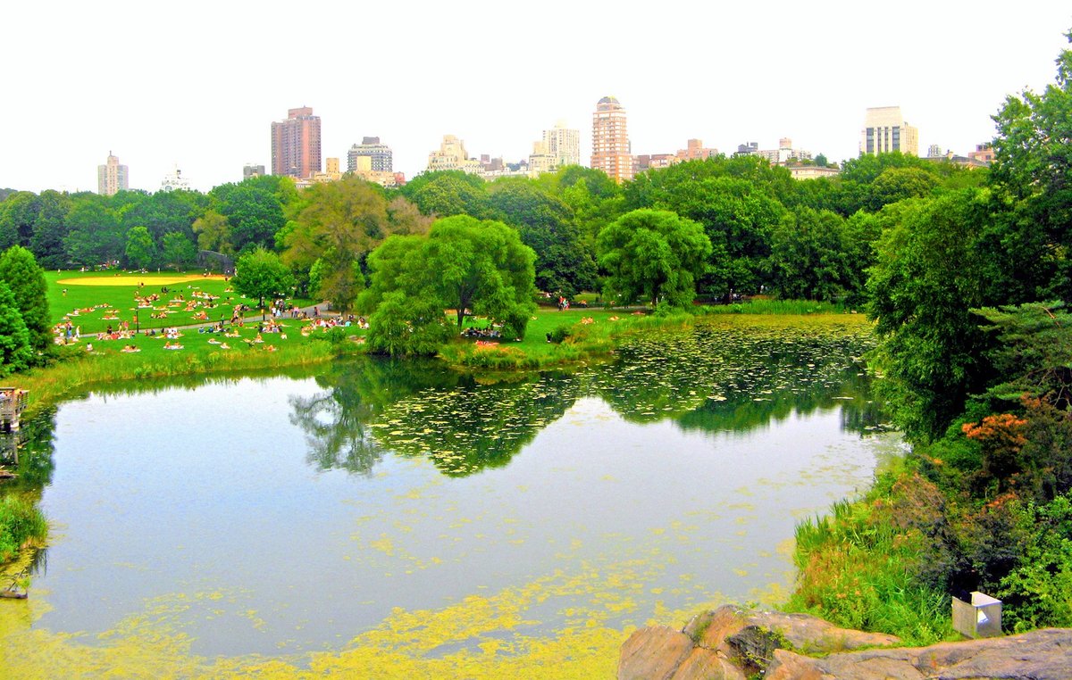 Photo entry: Weekend at the Park
