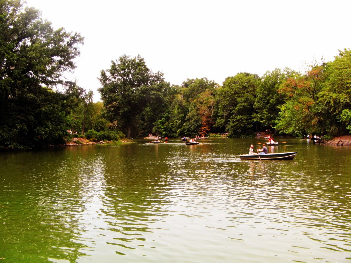 Photo entry: Cool Place in a Summer Day