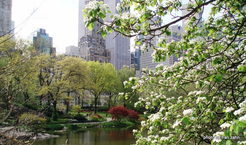 Photo entry: Spring Splendor