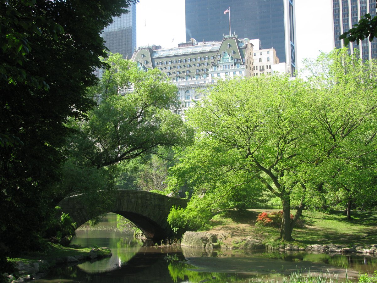 Photo entry: Plaza from the Park
