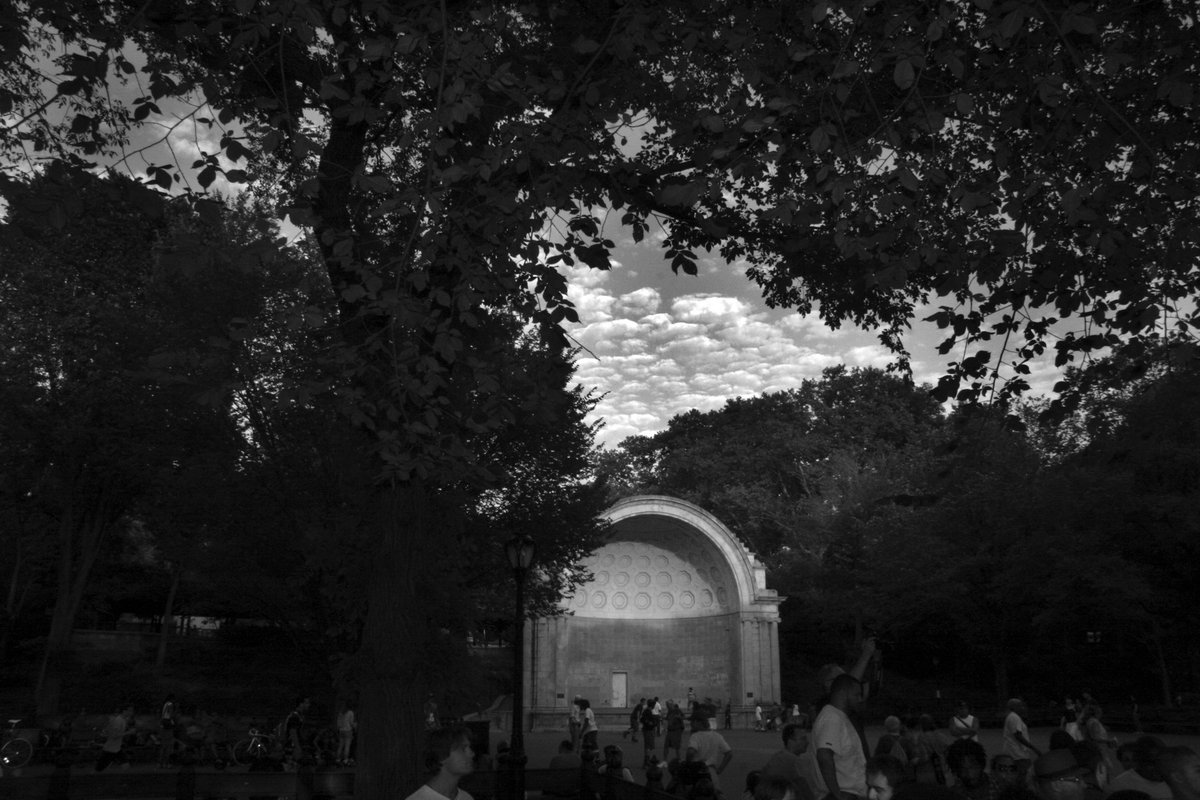 Photo entry: The Shell