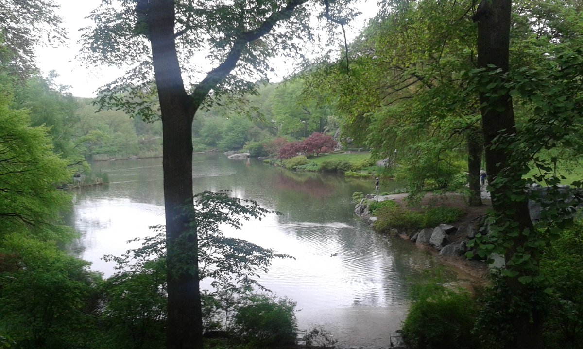Photo entry: Peaceful rain day