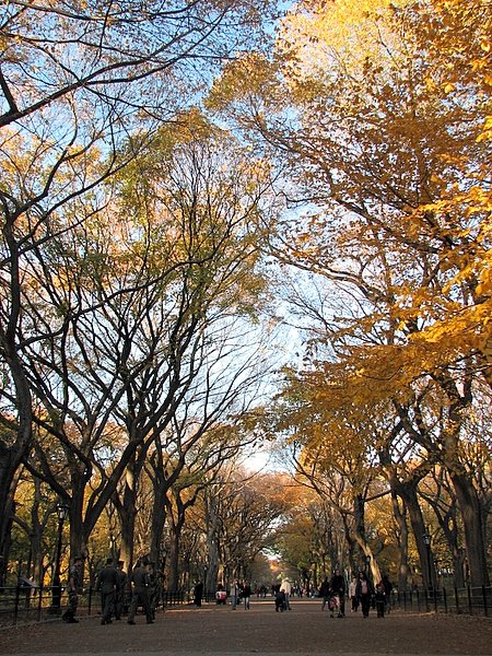 Photo entry: The Mall in the Fall