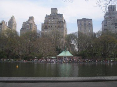 Photo entry: the park