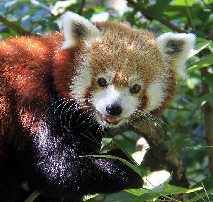 Children's Programs at Central Park Zoo | Central Park NYC